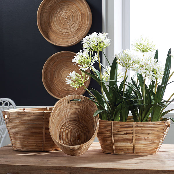 Cane Rattan Rectangular Baskets With Handles, Set Of 3 - Ivy Home
