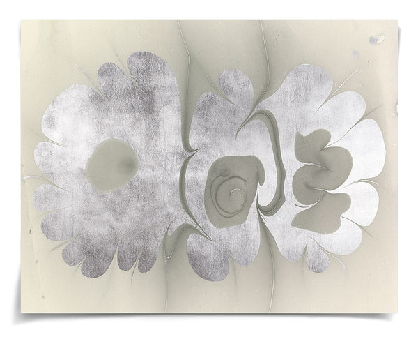 Natural Curiosities Abstract Oil Design Art - Ivy Home