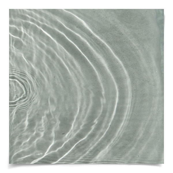 Natural Curiosities Ripple Diptych 2 Art - Ivy Home